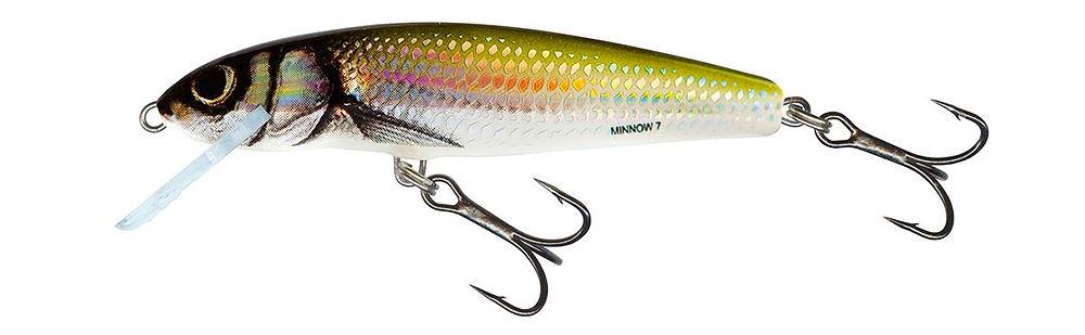 Salmo Minnow - Negozio di pesca online Bass Store Italy