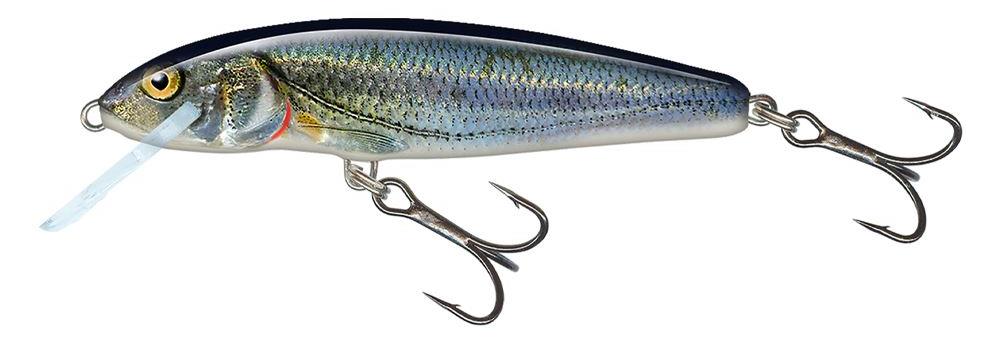 Salmo Minnow - Negozio di pesca online Bass Store Italy