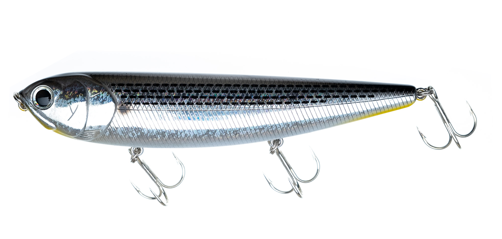 Lucky Craft SW Sammy Saltwater - Negozio di pesca online Bass Store Italy